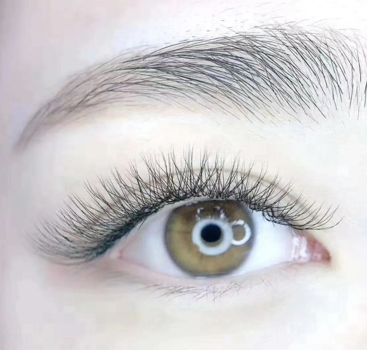 The Beginner’s Complete Guide To Eyelash Extensions